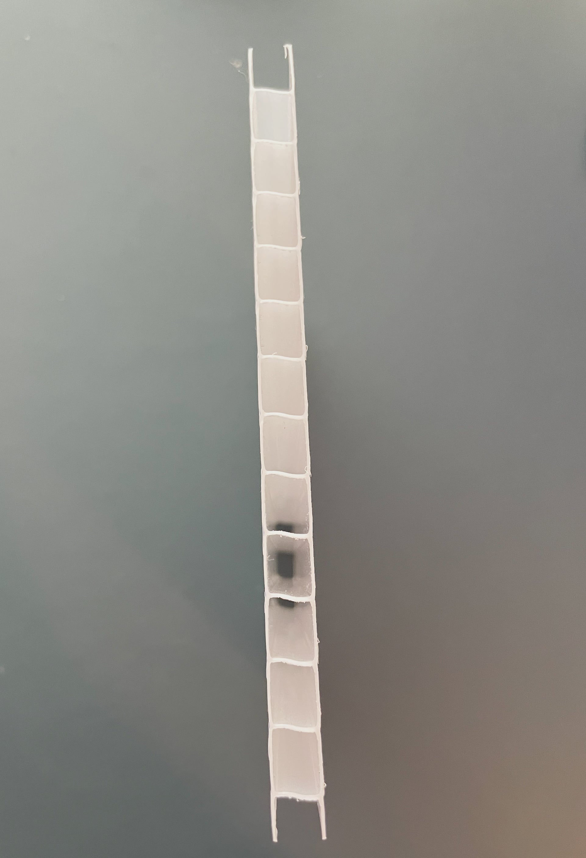 Polycarbonate Sheet – Dive To Garden